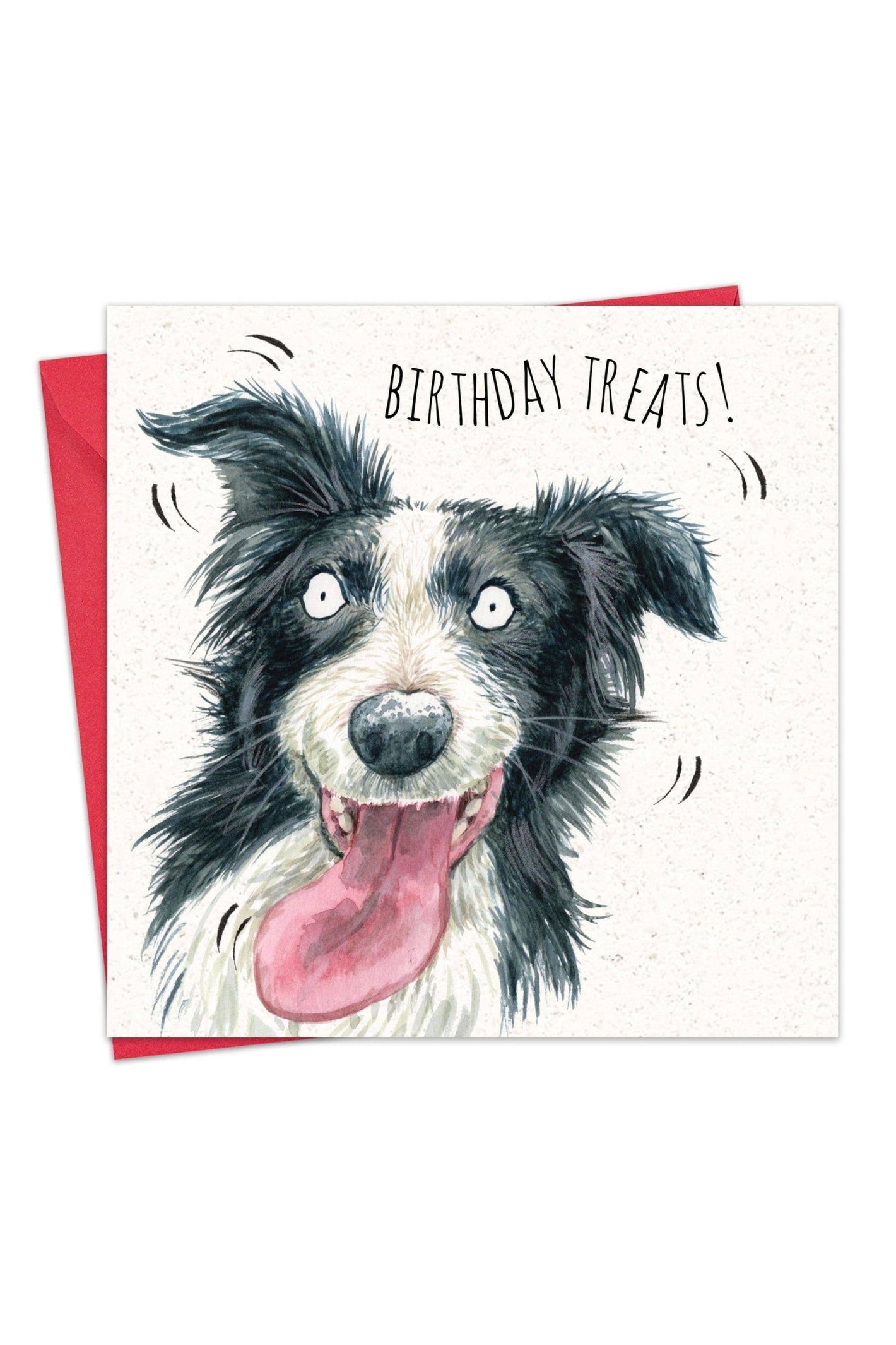 Border Collie Birthday Treats - Funny Birthday Card – Experience Boutique
